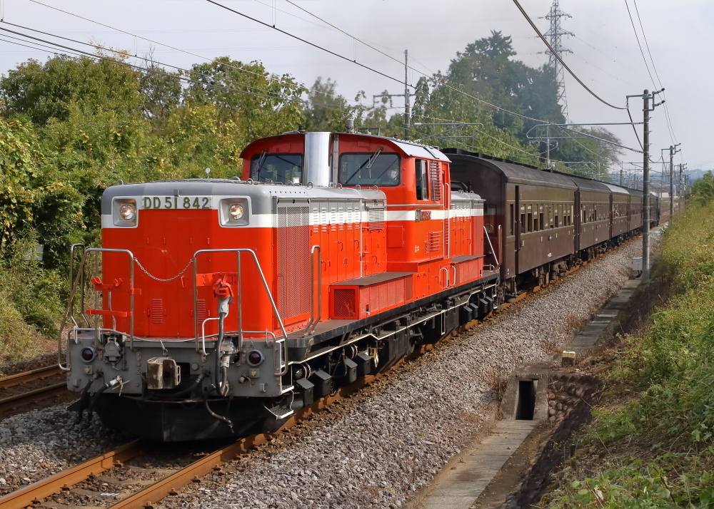 【DD51+12系】 DL群馬県民の日号: 津田沼電車区の撮影記