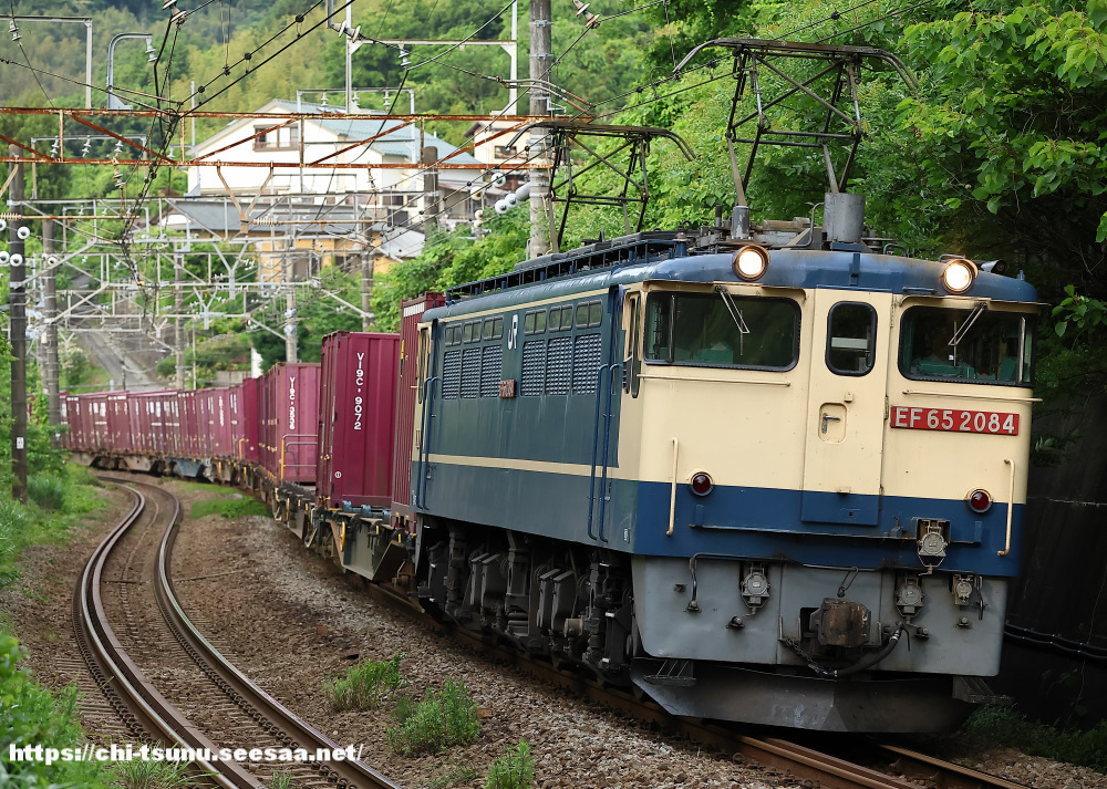 【EF65 PF】 米神S字カーブ＠根ノ上: 津田沼電車区の撮影記
